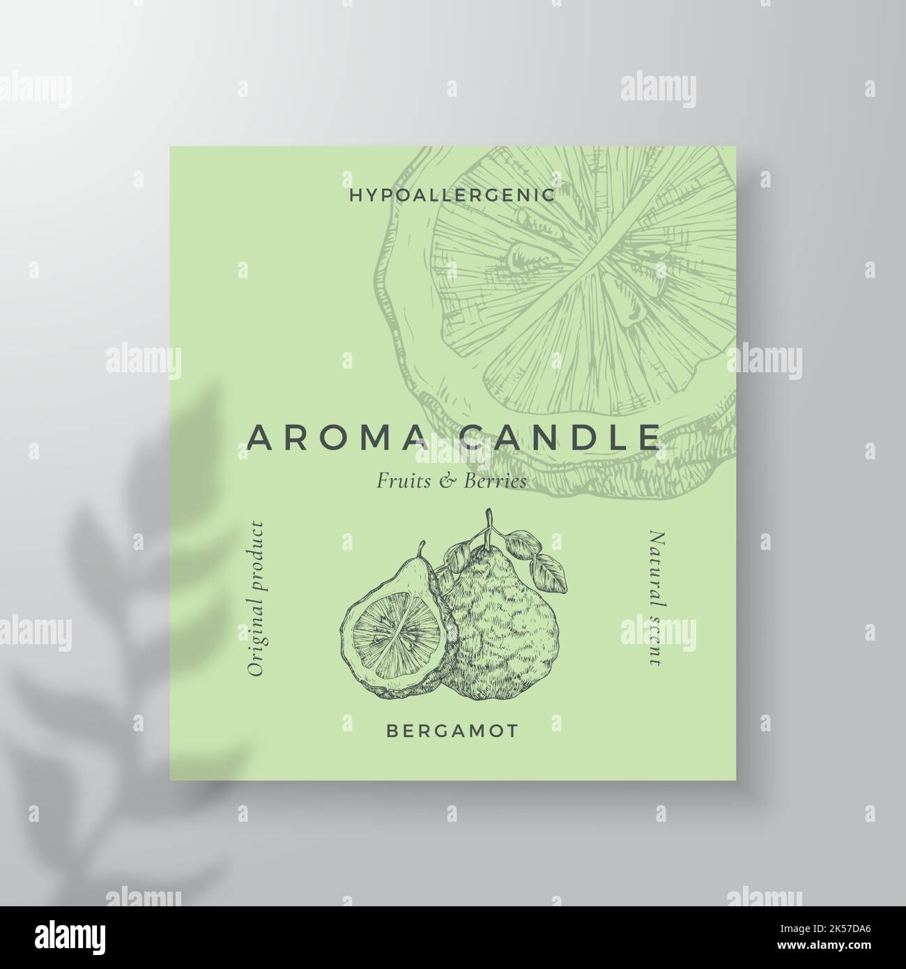 Aroma candle vector label template. Bergamot citrus scent from local ...