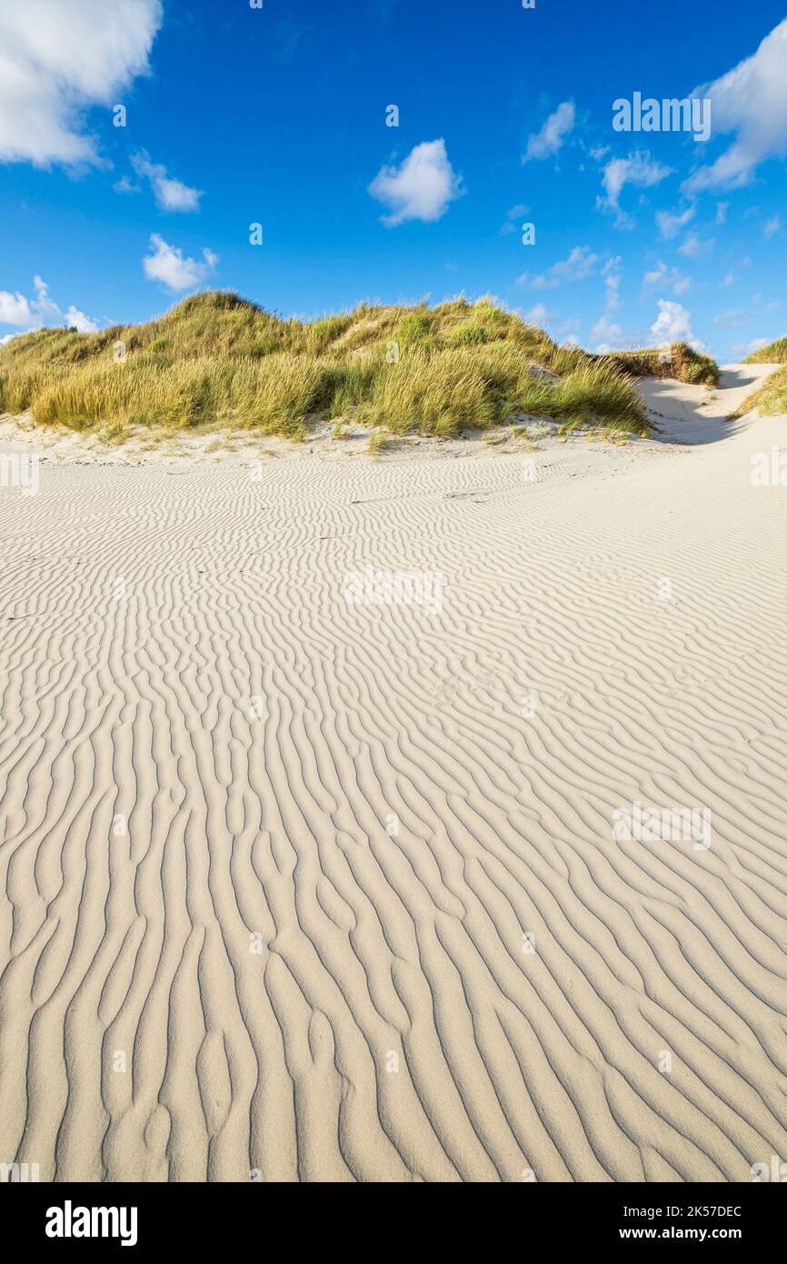 France, Finistere, Audierne Bay, Treguennec, Kermabec beach on the ...