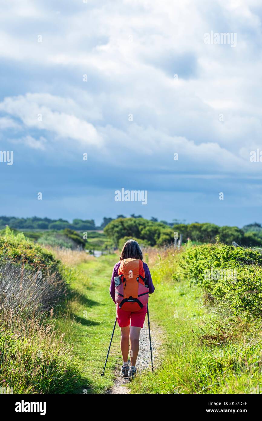 France, Finistere, Audierne Bay, Treguennec, hike on the coastal ...