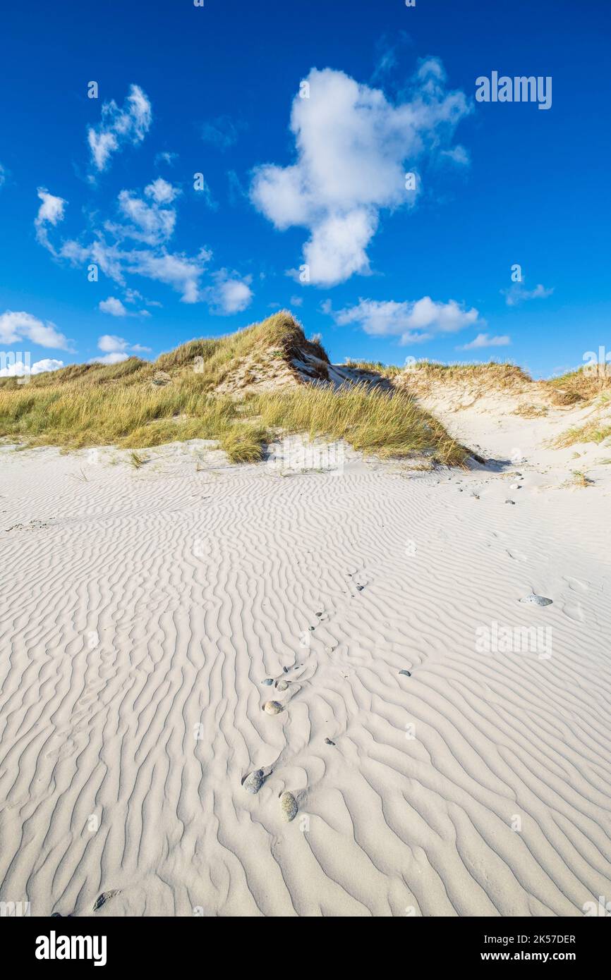 France, Finistere, Audierne Bay, Treguennec, Kermabec beach on the ...