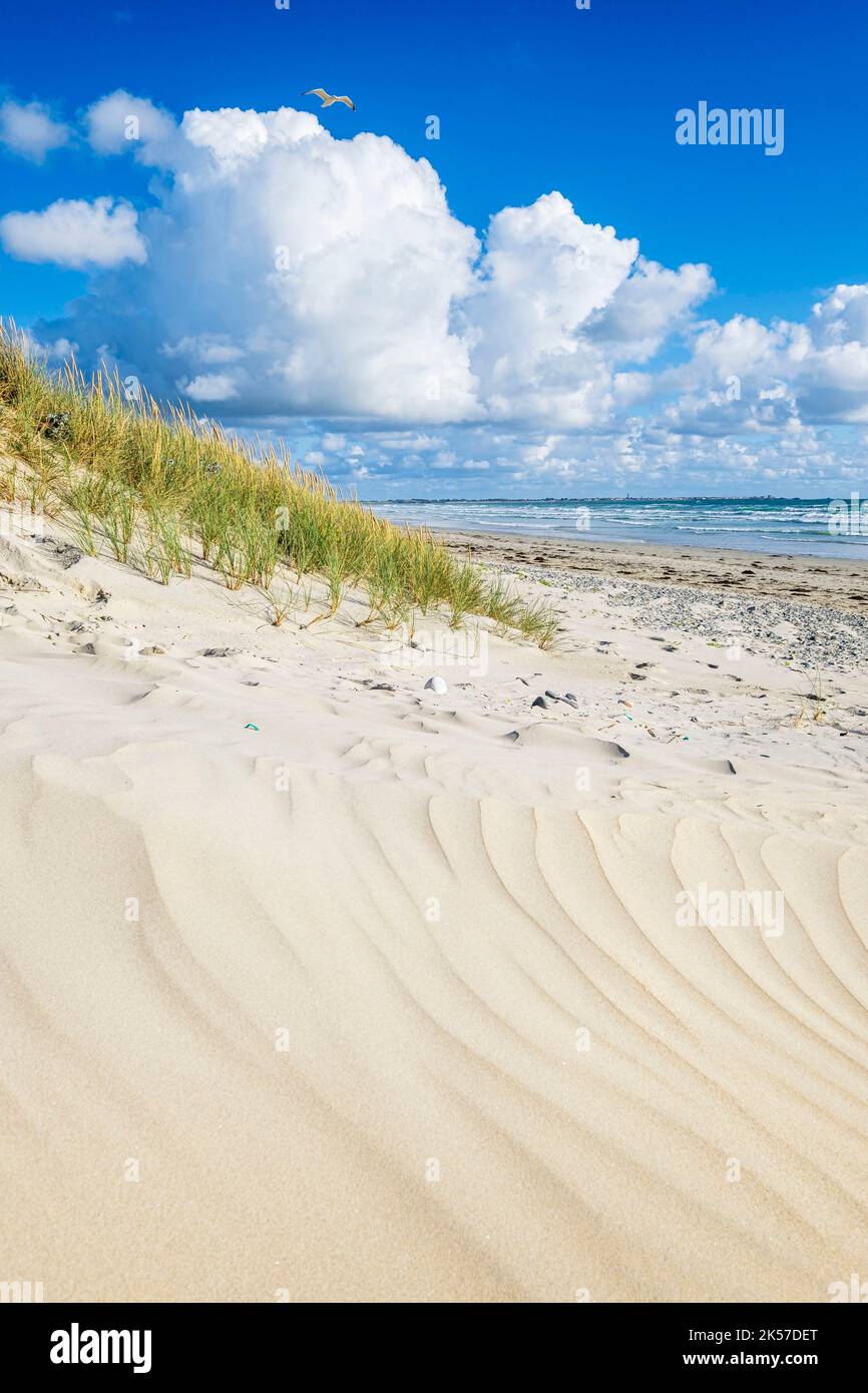 France, Finistere, Audierne Bay, Treguennec, Kermabec beach on the ...