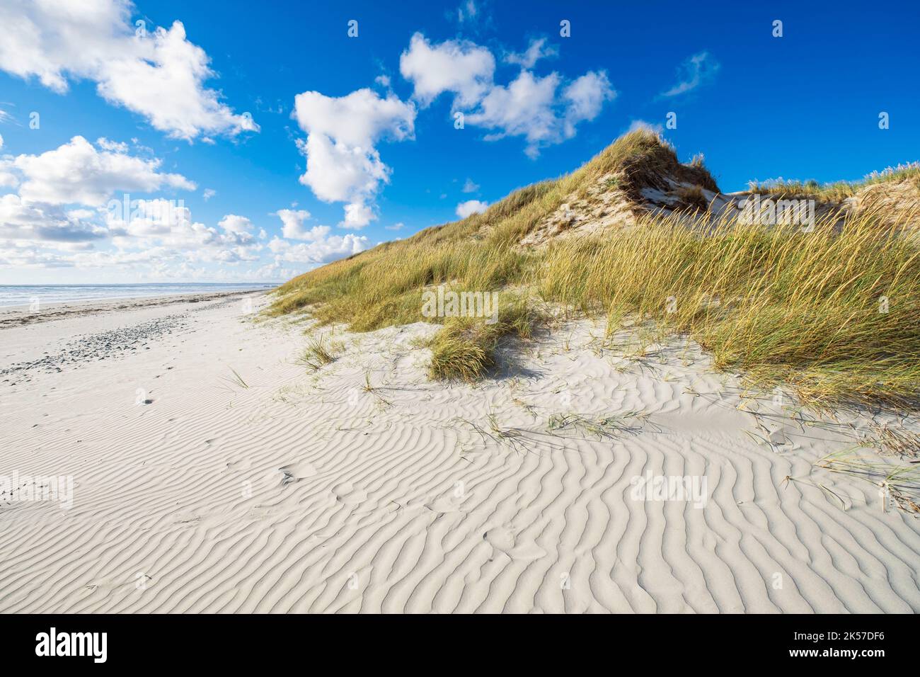 France, Finistere, Audierne Bay, Treguennec, Kermabec beach on the ...