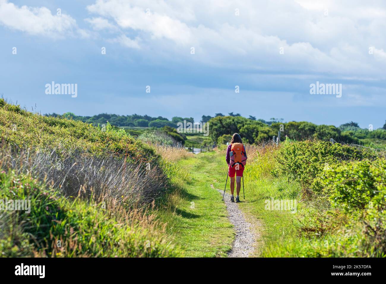 France, Finistere, Audierne Bay, Treguennec, hike on the coastal ...