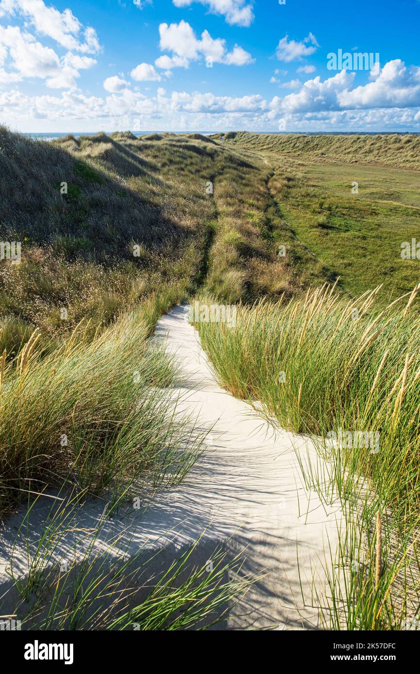 France, Finistere, Audierne Bay, Treguennec, Kermabec beach on the ...