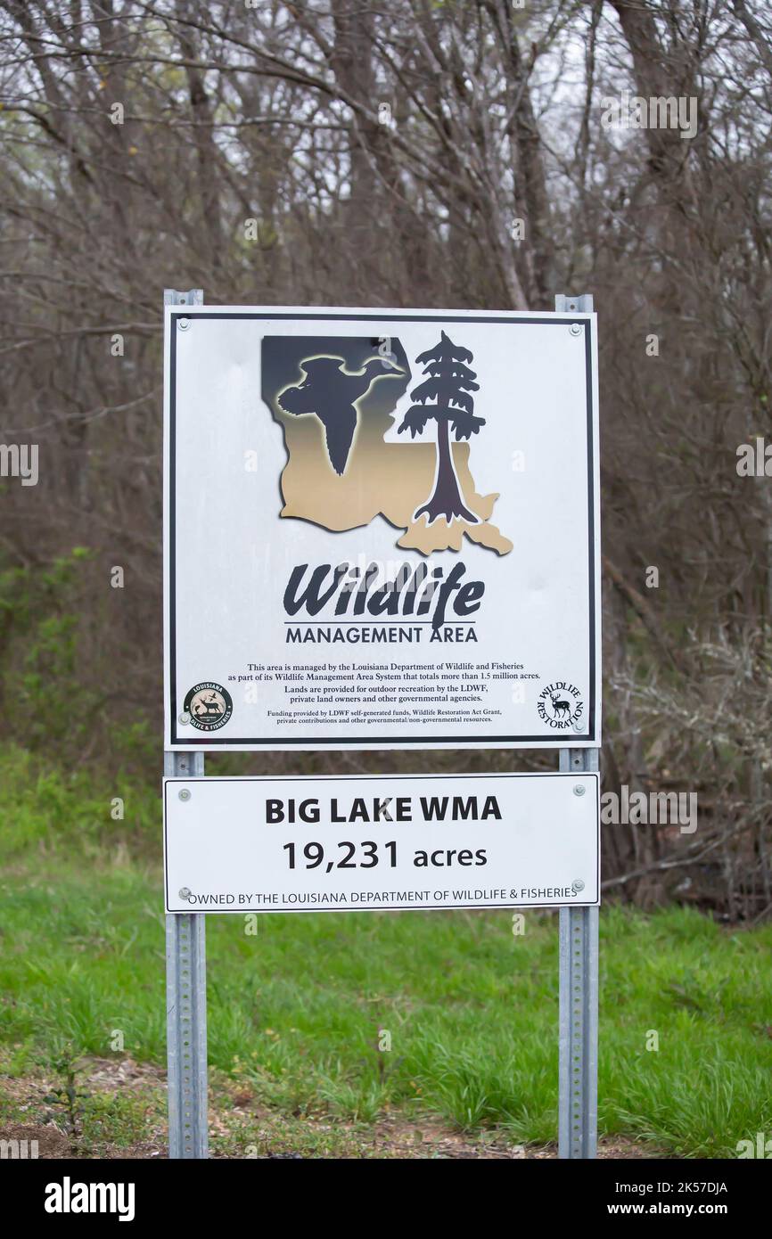 Are Dogs Allowed In Wildlife Management Areas Louisiana