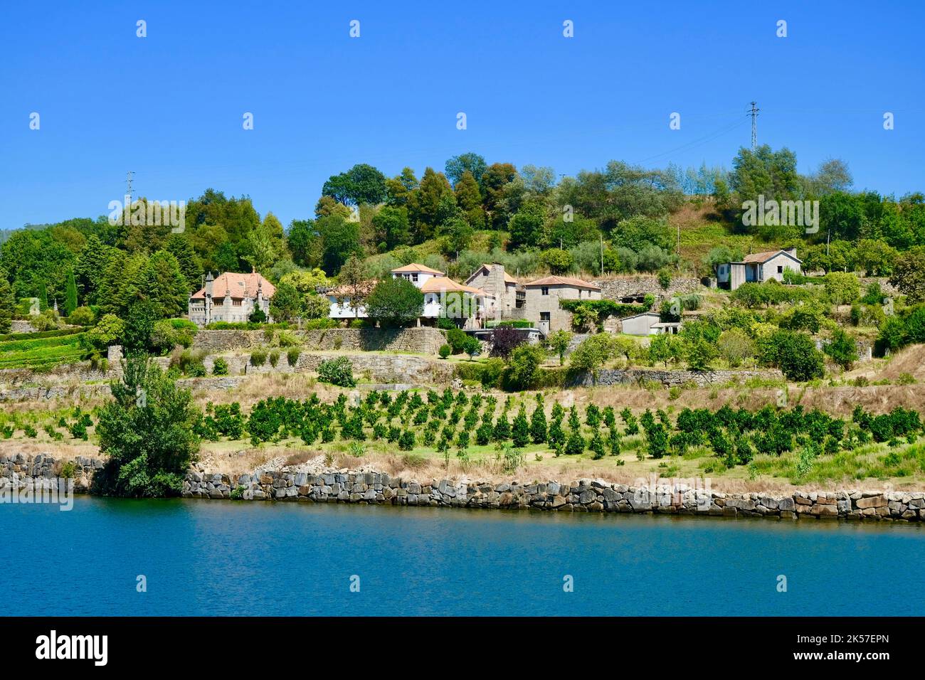Portugal, North region, cruise on the Douro river between Regua and ...