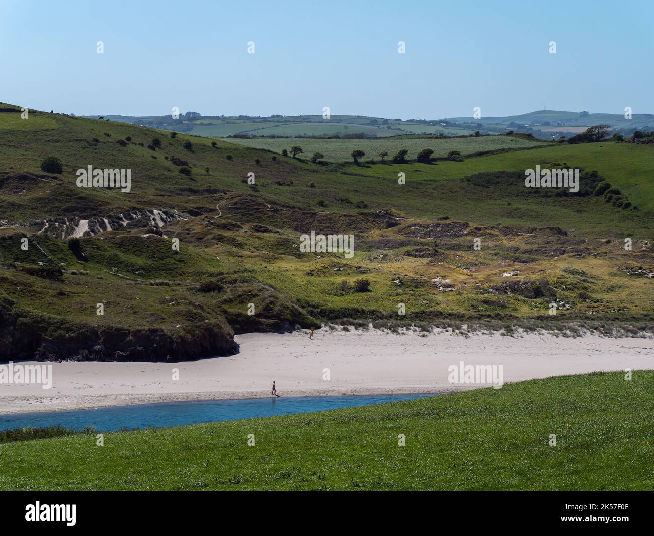 County Cork, Ireland, May 28, 2022. Shrub-covered dunes on the shore of ...