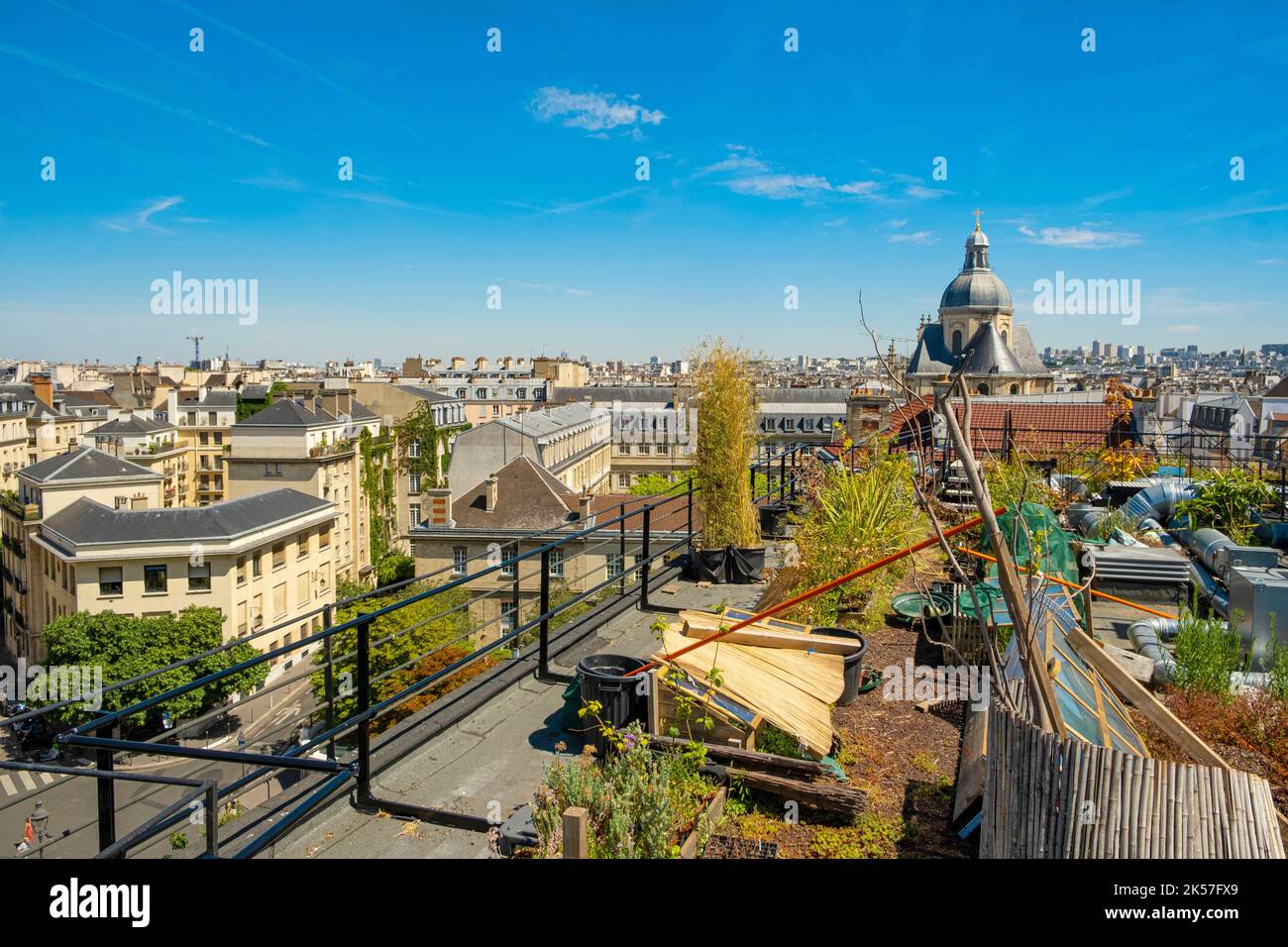 Paris green roof hi-res stock photography and images - Alamy