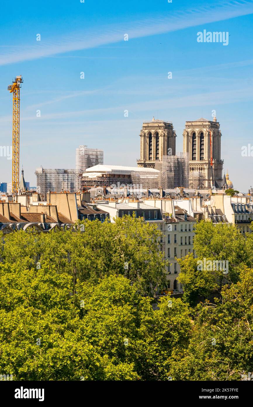 France, Paris, Notre Dame de Paris under construction Stock Photo - Alamy