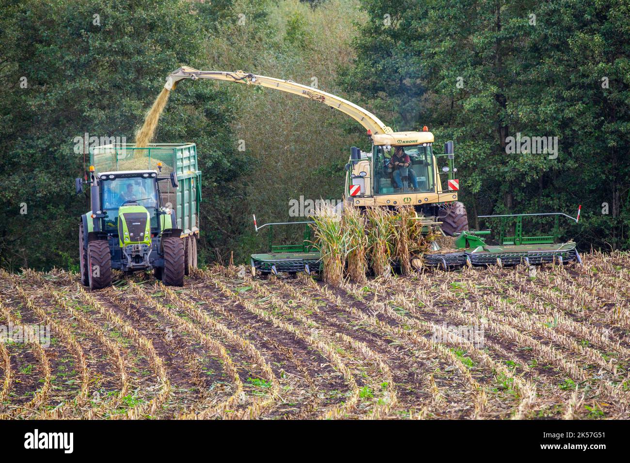 Farmer agricultural contractor farm worker using Krone Big X 700 - Self ...