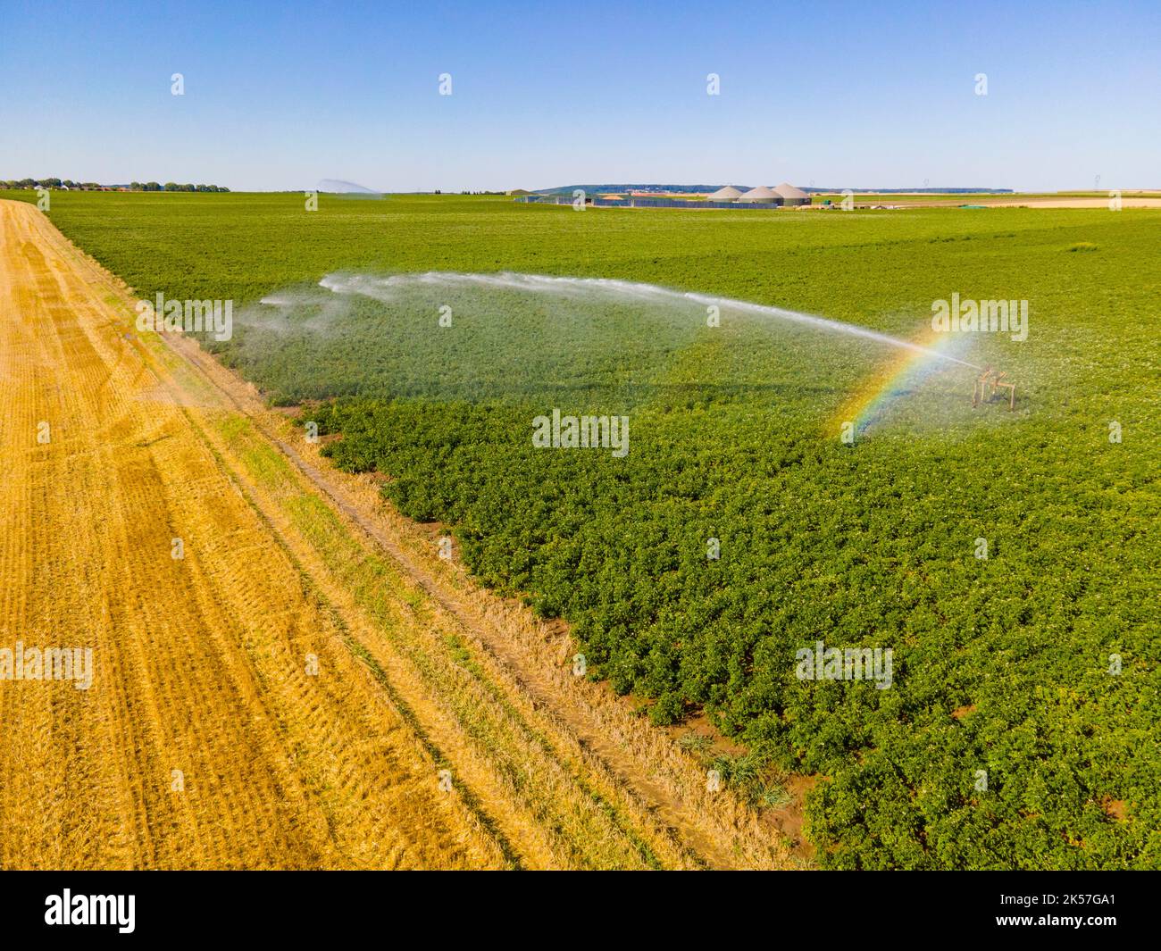 France, Seine et Marne, Messy, agricultural fields and irrigation ...