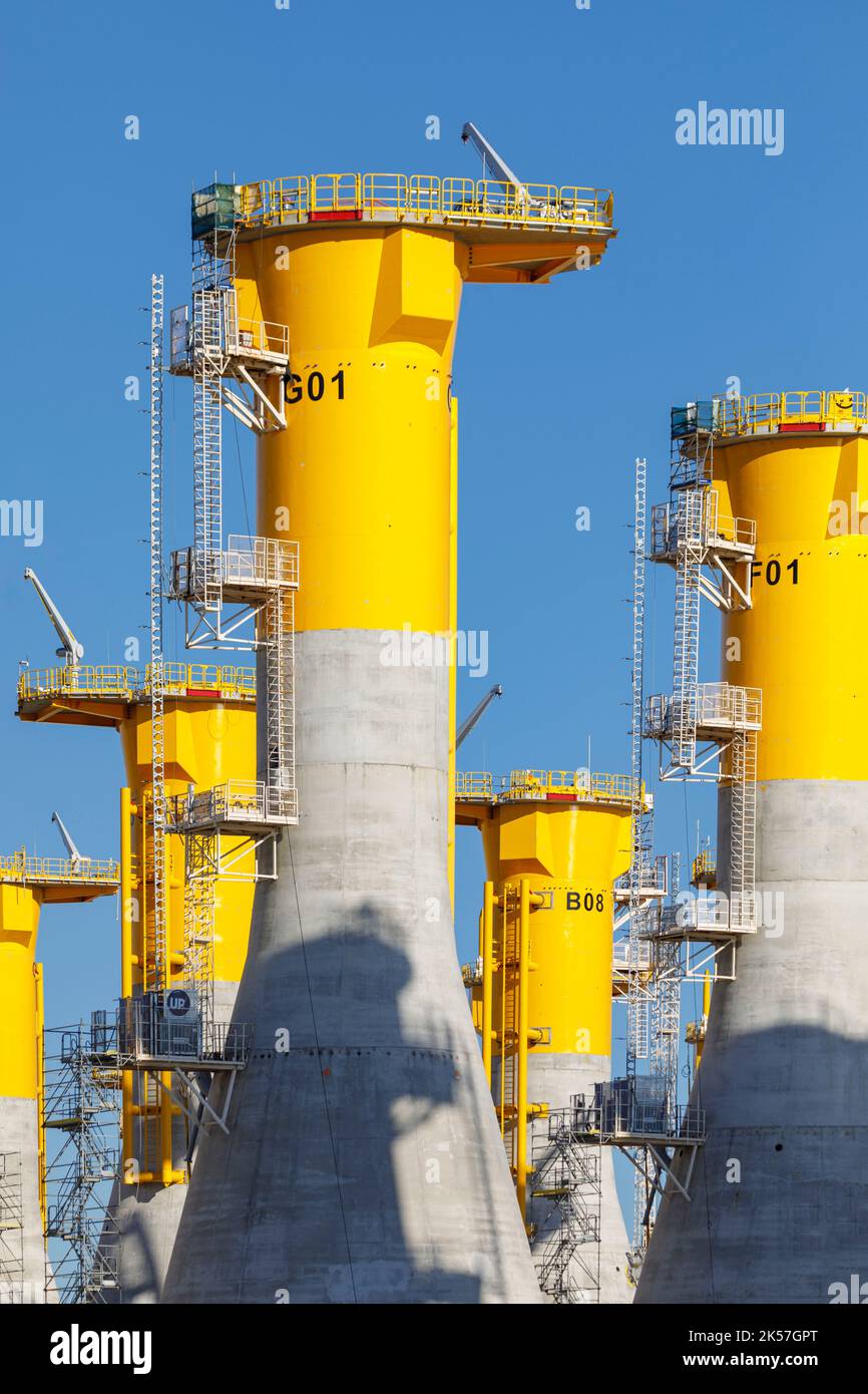 France, Seine-Maritime, Le Havre, the harbour, Bougainville wharf ...