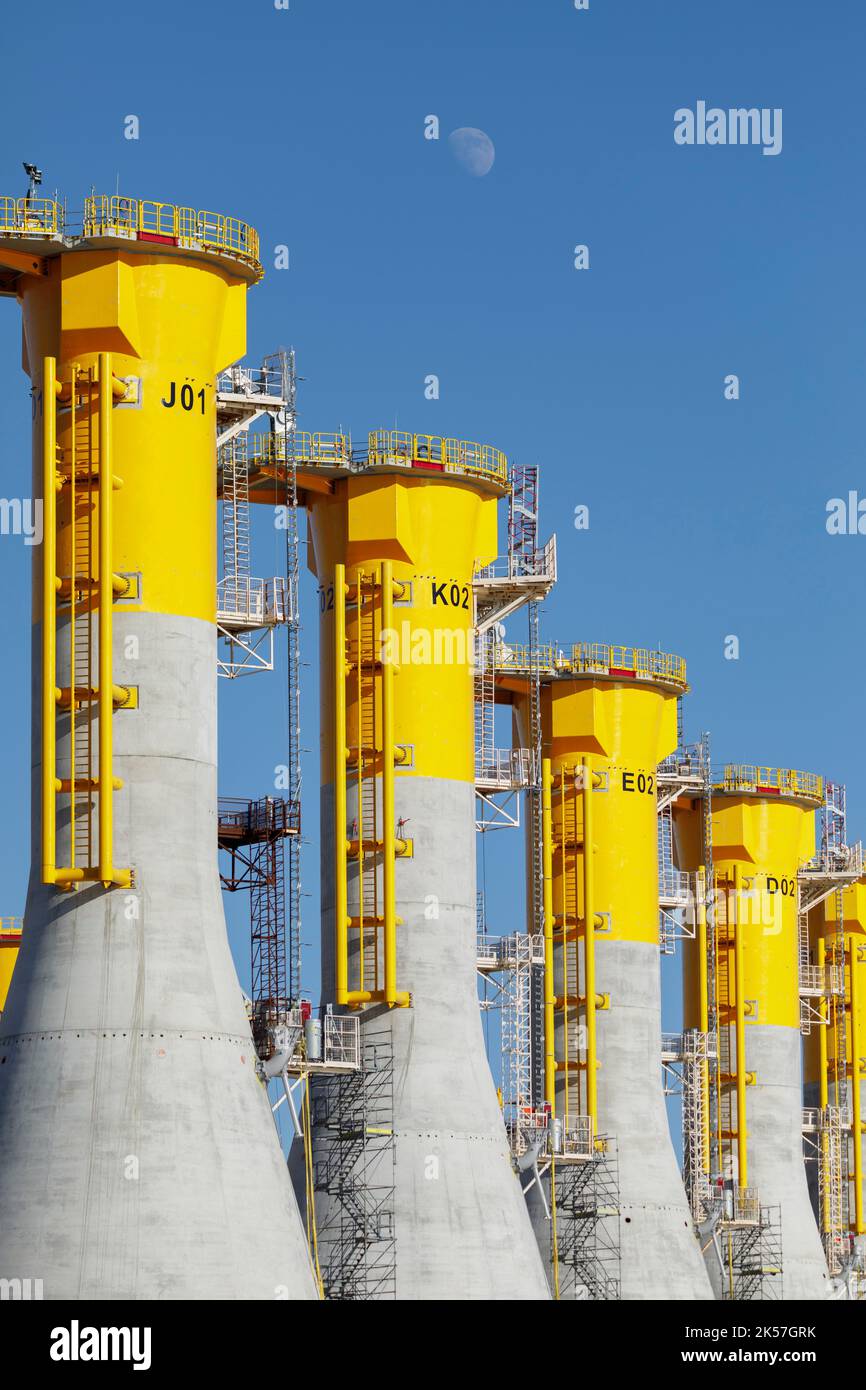 France, Seine-Maritime, Le Havre, the harbour, Bougainville wharf ...