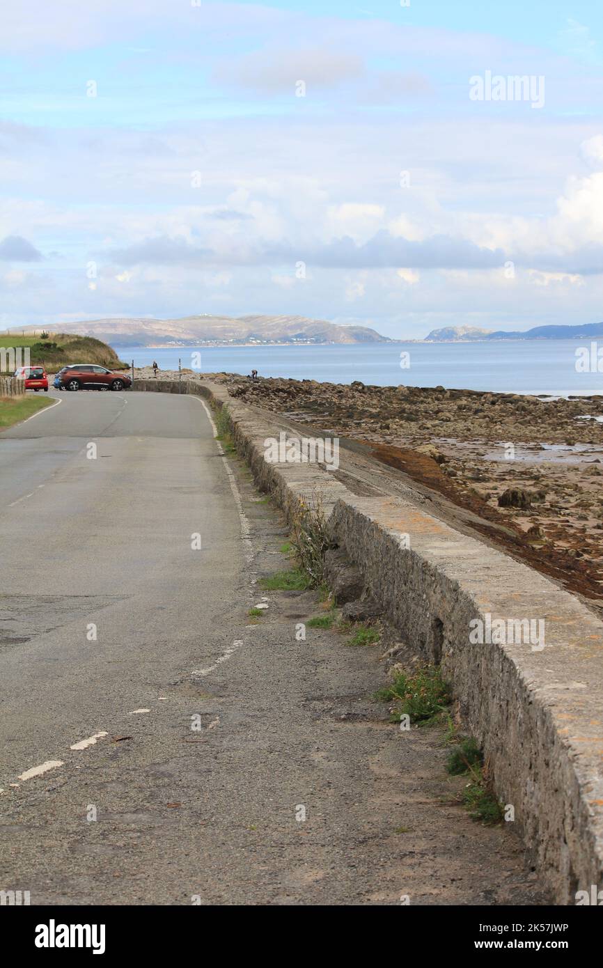 Puffin king hi-res stock photography and images - Alamy