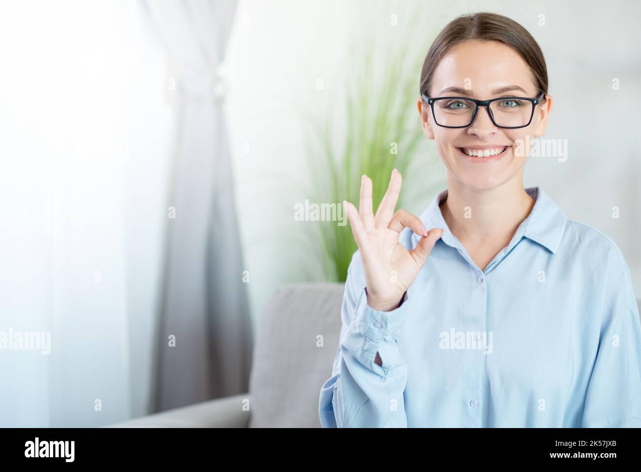 Professional advice. Expert approval. Good job. Satisfied cheerful ...