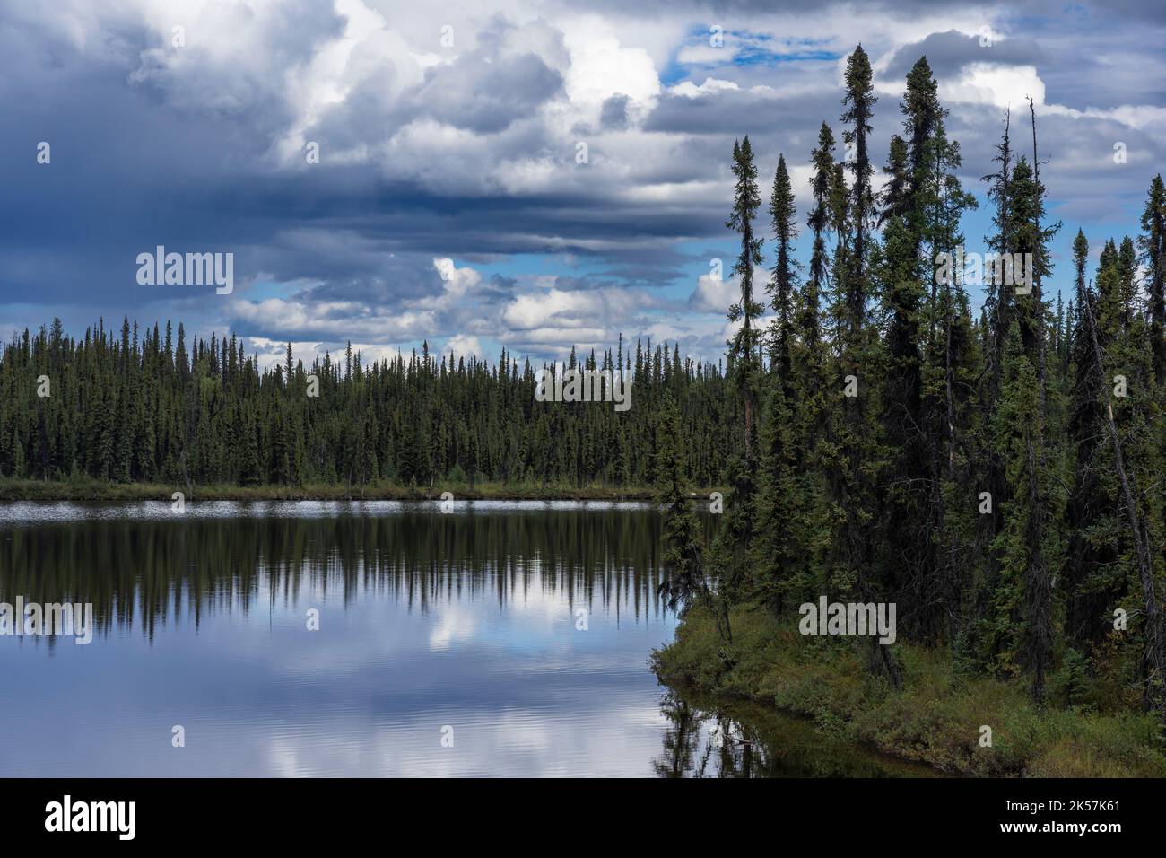 Forest surrounds a small lake along the Robert Campbell Highway (Route ...