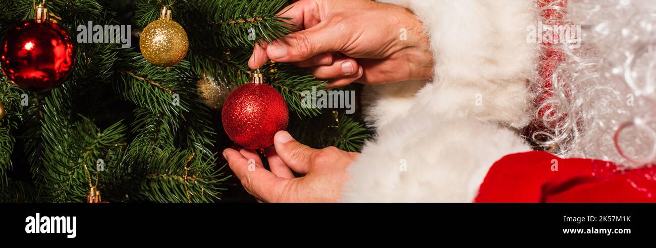 Cropped view of bearded santa claus decorating christmas tree with ...