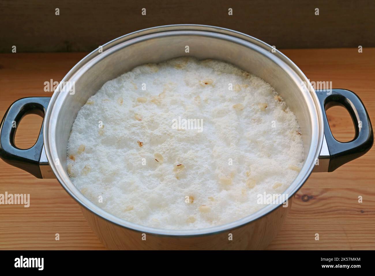 Rhizopus Oligosporus