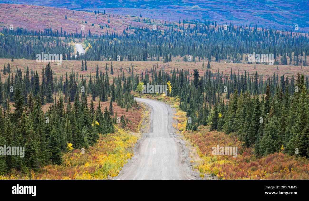 The Denali Highway west of Brushkana Creek in Alaska, with fall color ...