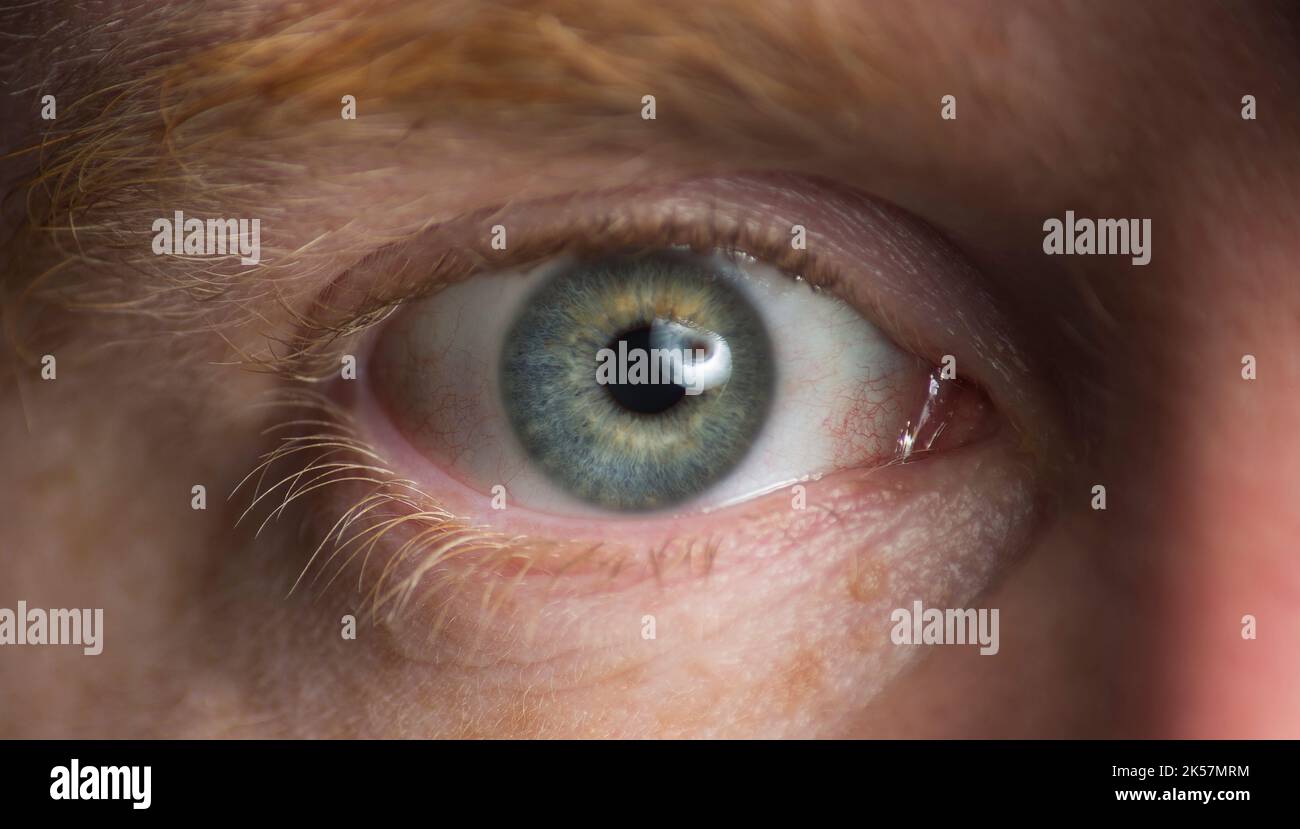 Human wide open blue eye hi-res stock photography and images - Alamy