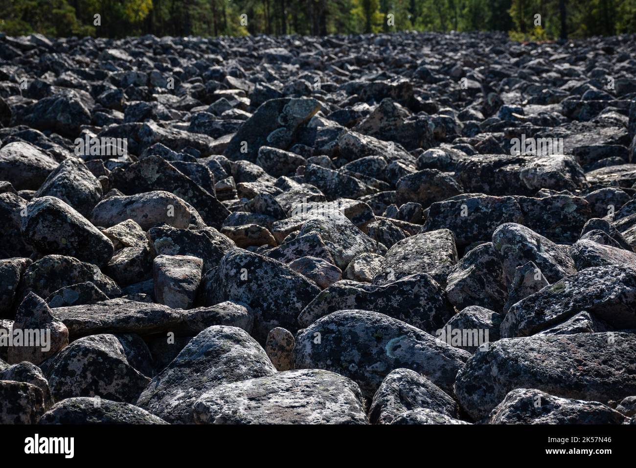 Close-up of a boulder field, Kivijata in Lauhanvuori National Park ...