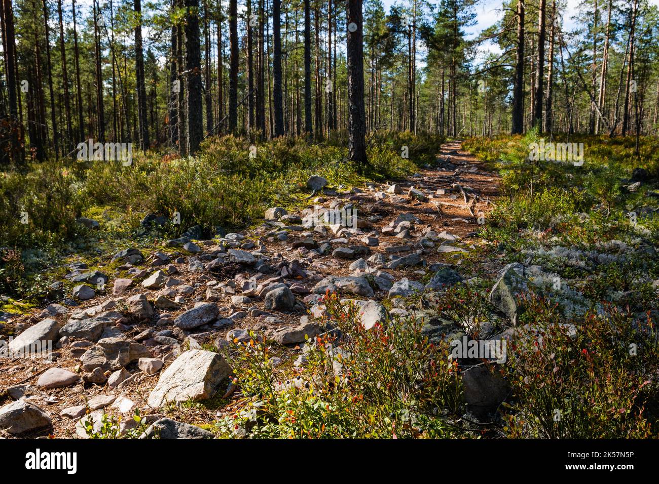 Hike rough terrain hi-res stock photography and images - Alamy