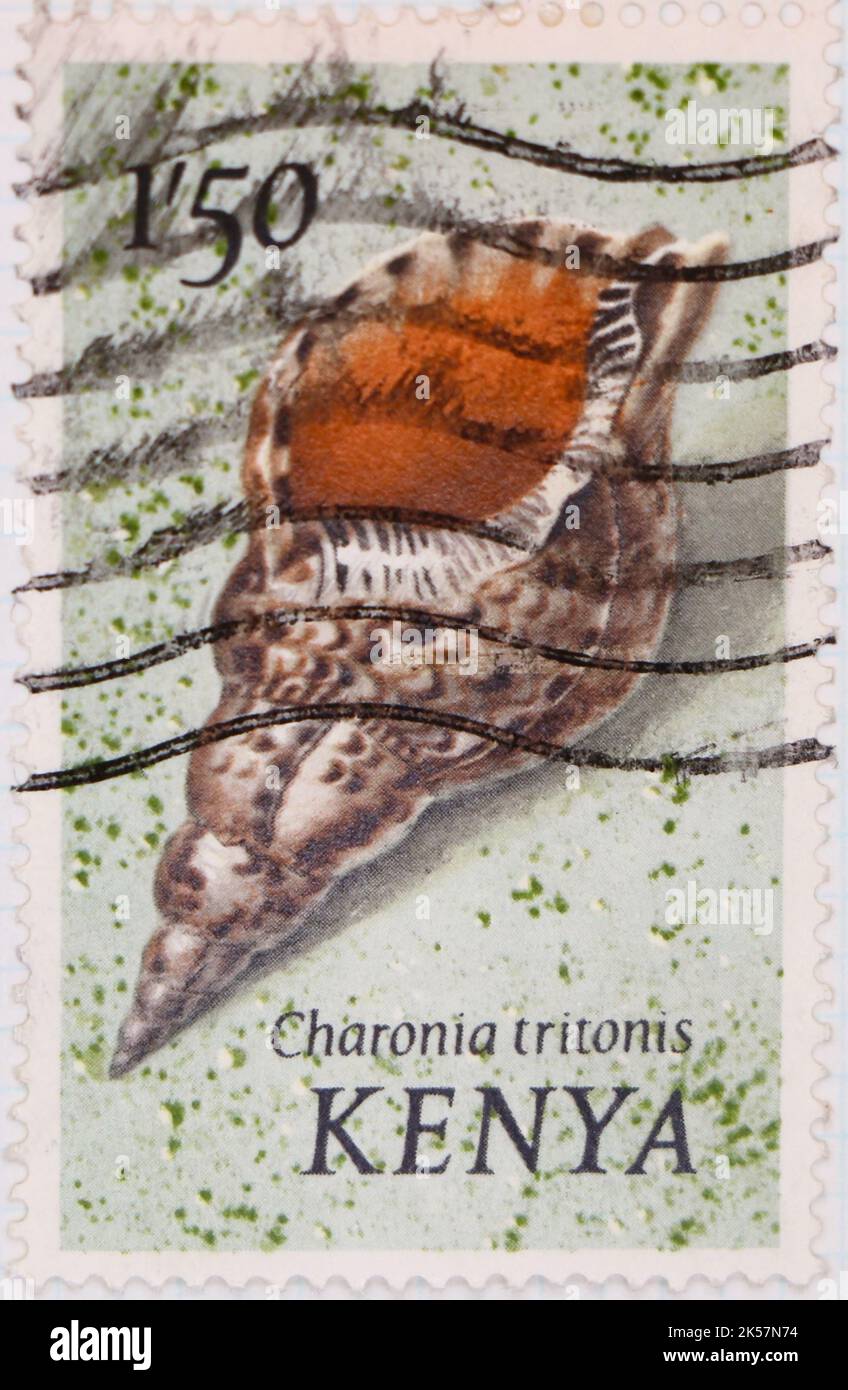 Photo of a postage stamp from Kenya with an illustration of a sea shell ...