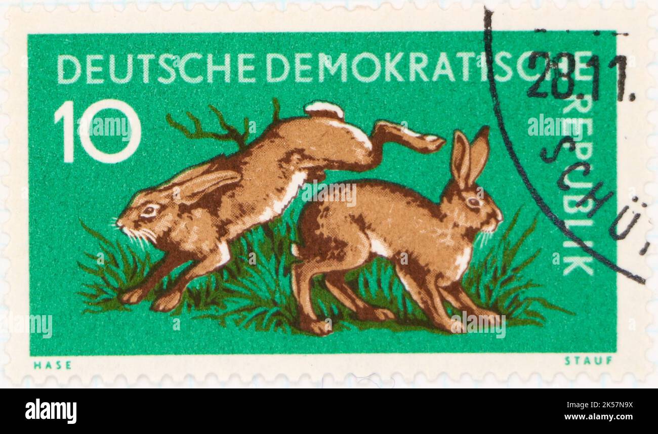 Photo of an East German postage stamp Forest Animals European Hare ...