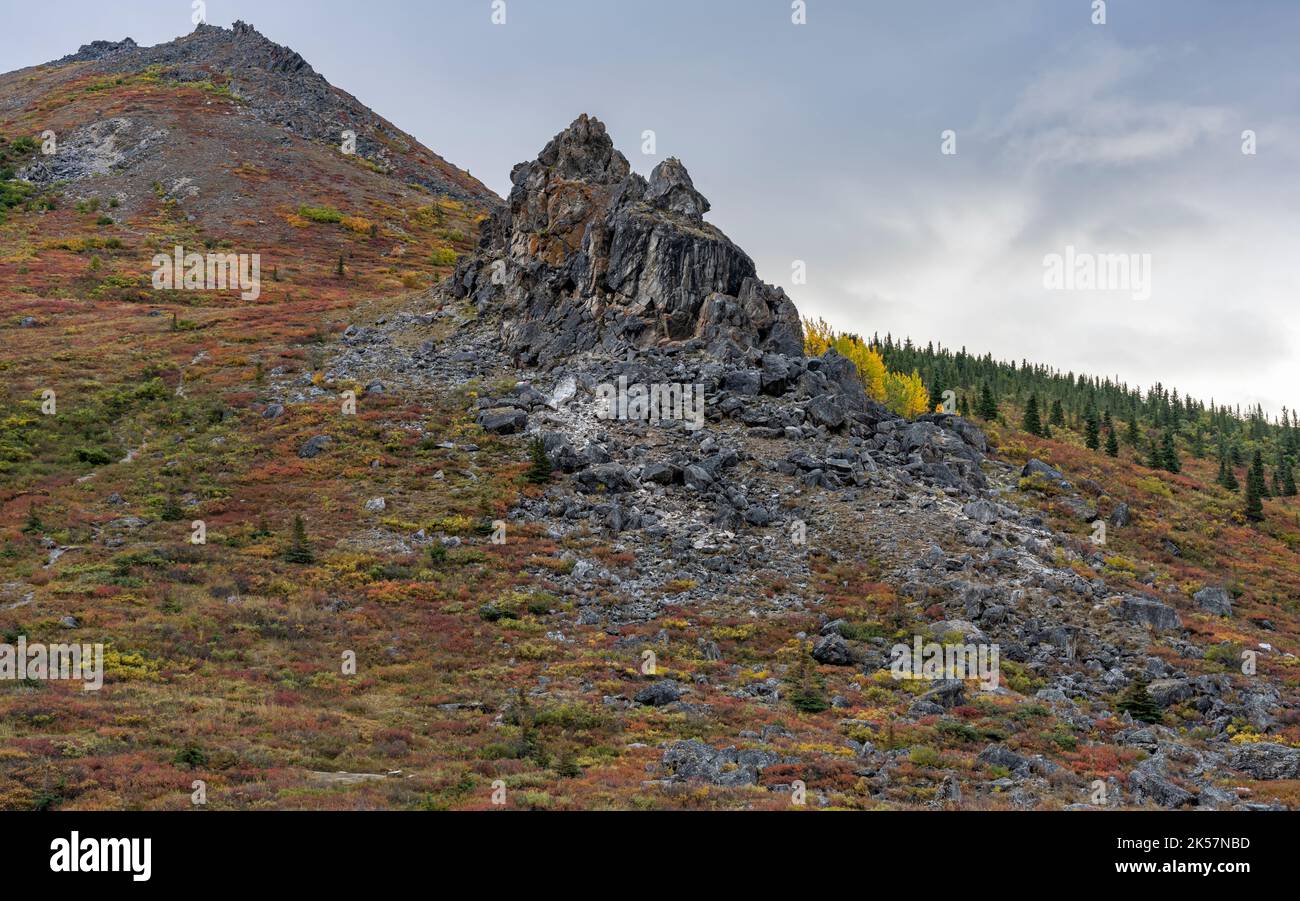 Rock formation and fall color along the Savage River in Denali National ...