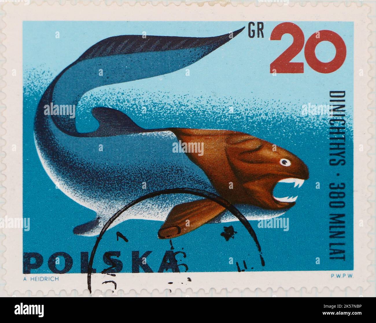 Dinichthys hi-res stock photography and images - Alamy