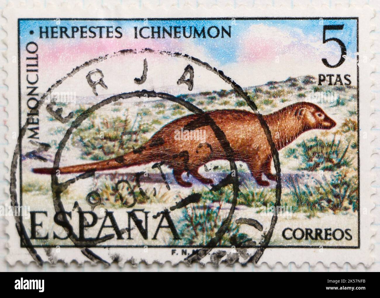 Hispanic fauna hi-res stock photography and images - Alamy