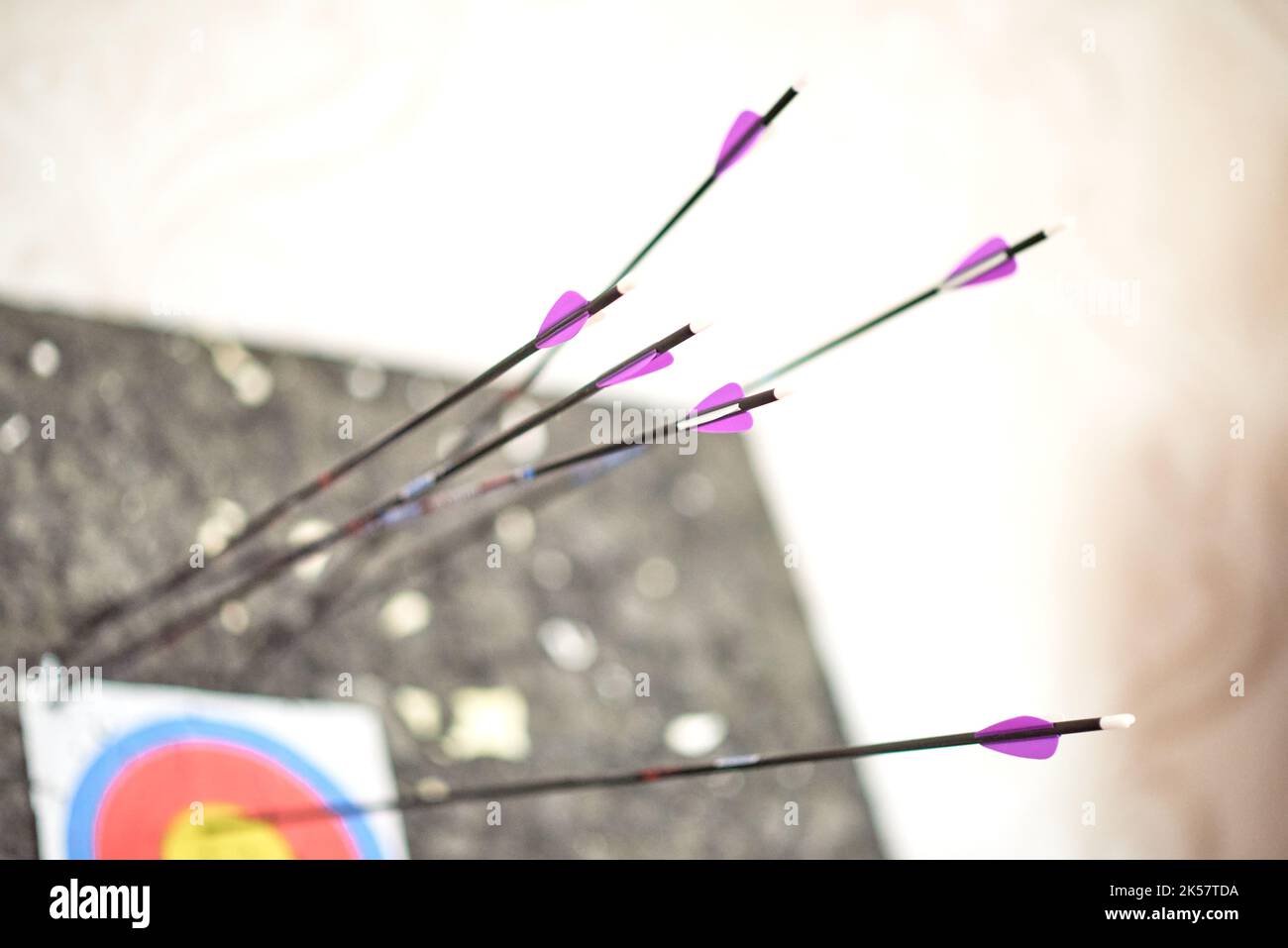 Carbon arrows with purple plumage are stuck in a paper target and an ...