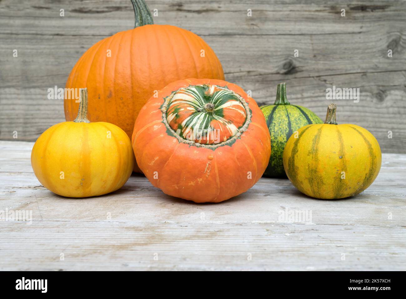 Various pumpkins stand on a table made of light-colored wood Stock ...