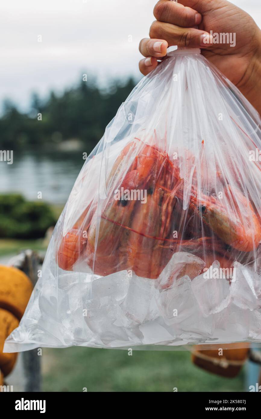 Caught fish in bag hi-res stock photography and images - Alamy