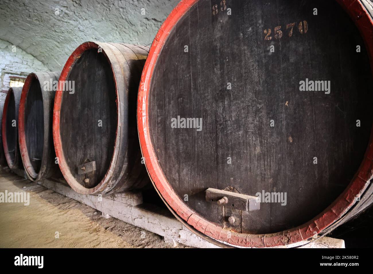 Large wooden wine barrels in the cellar of an old building of a church ...
