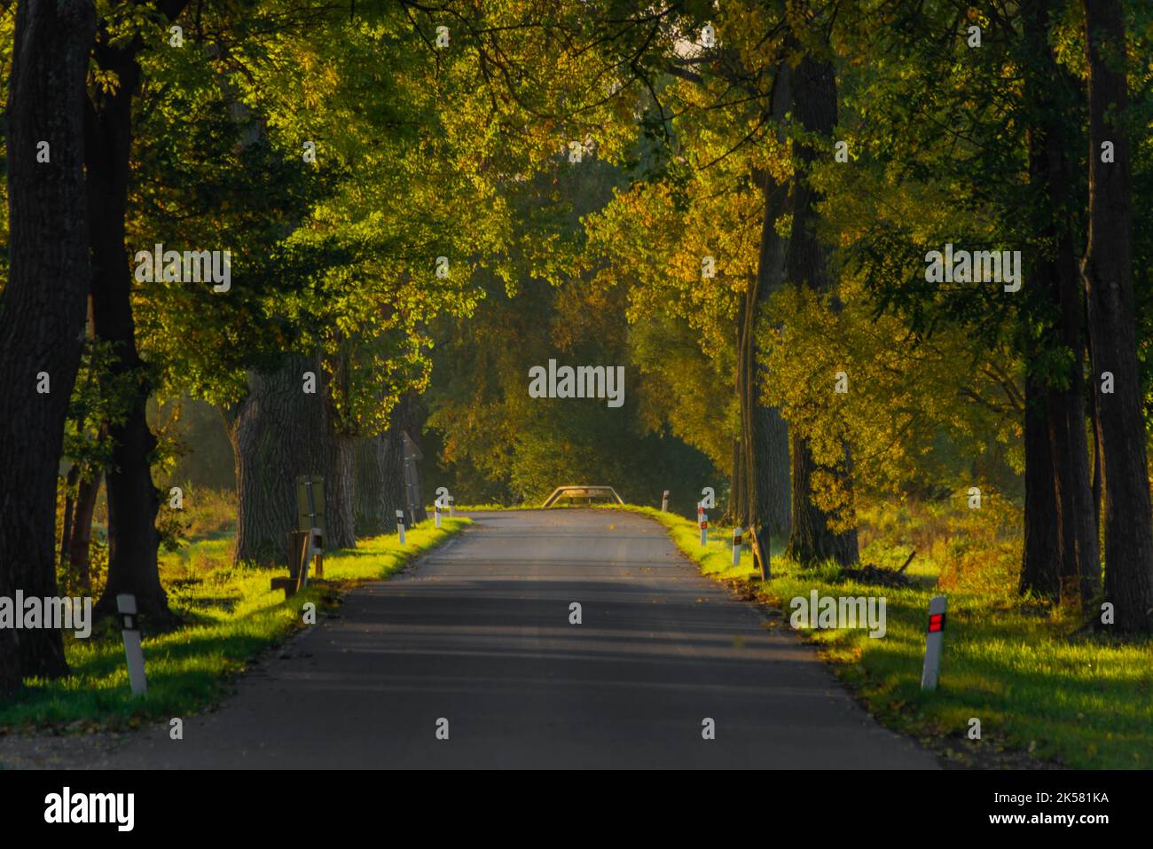 Bavorov town hi-res stock photography and images - Alamy