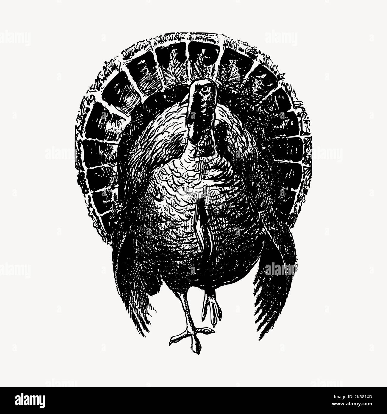 thanksgiving turkey, thanksgiving, animals, antique, art, artwork ...