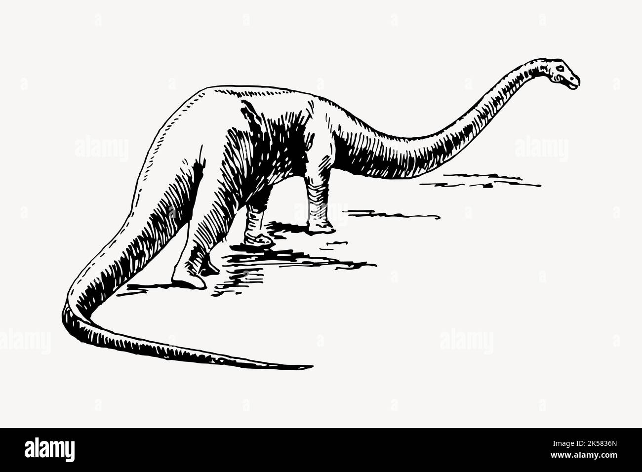 Vintage dinosaur drawing, extinct animal illustration vector Stock ...