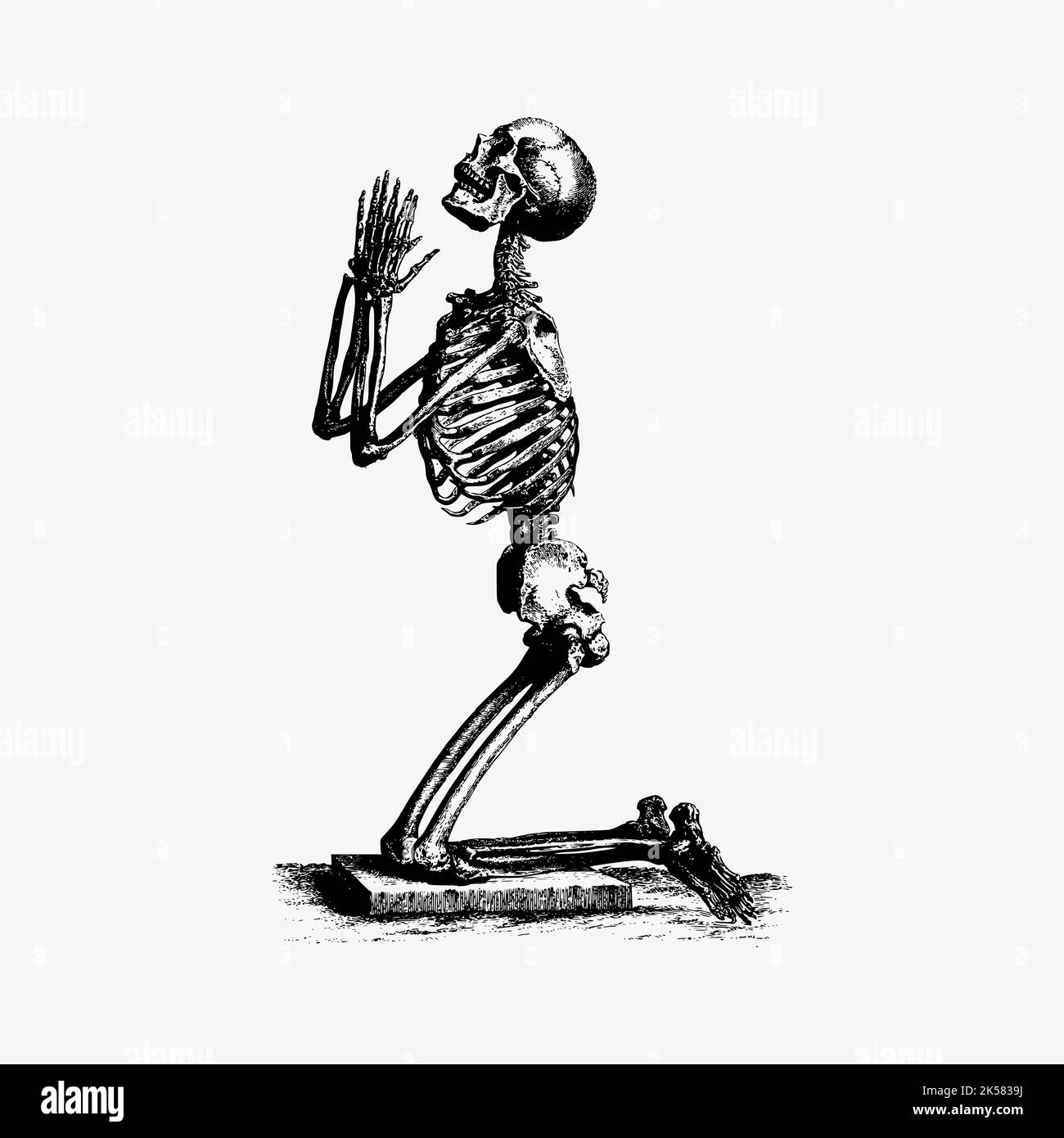 Praying skeleton drawing, vintage illustration vector Stock Vector ...