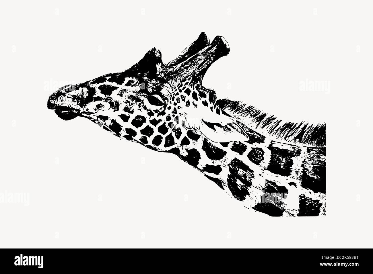 Giraffe sticker, vintage animal, wildlife illustration vector Stock ...