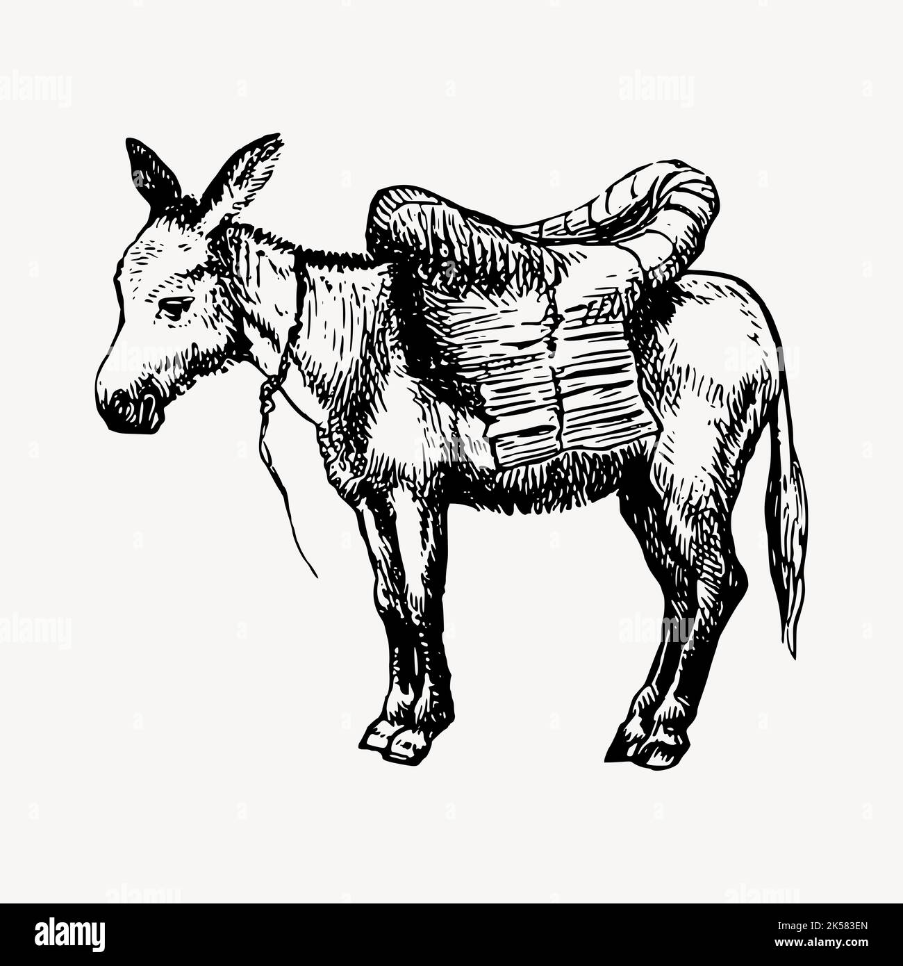 Donkey drawing hi-res stock photography and images - Alamy