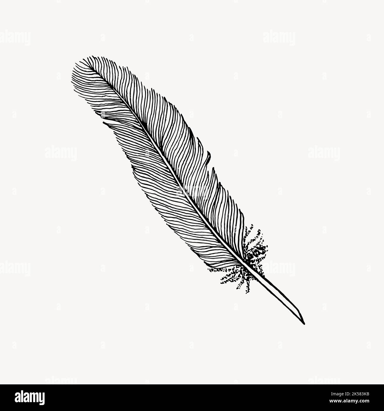 Feather quill drawing, vintage stationery illustration vector Stock ...