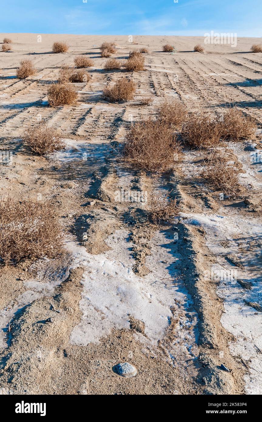 Tire and tread tracks are quite evident in the soil of an active solid ...
