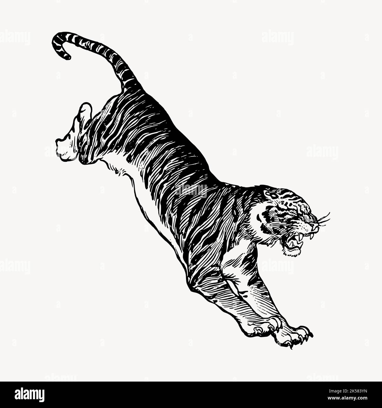 tiger, animal, animals, black and whites, tiger 17, tiger jumping ...