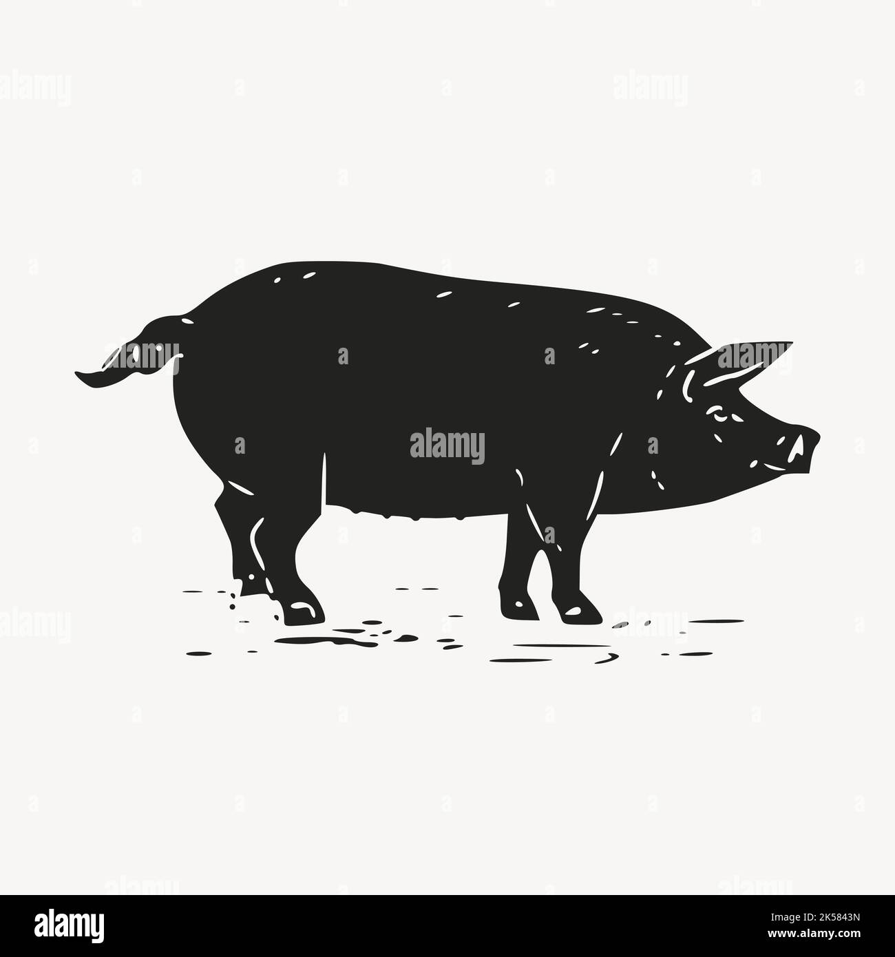pig, farm, agriculture, pork, pork farm, pig, vintage illustration ...