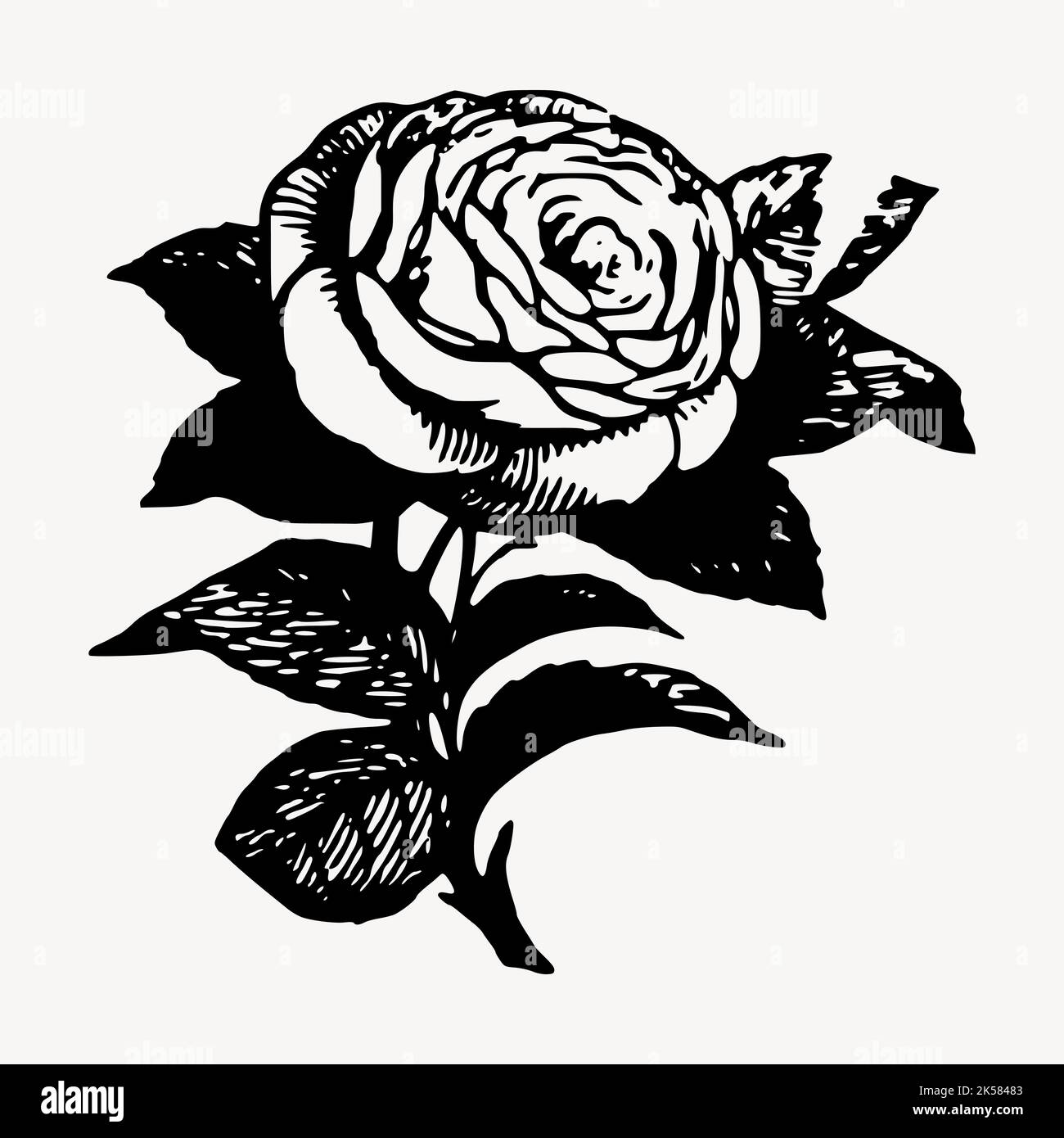 Bw roses Stock Vector Images - Alamy
