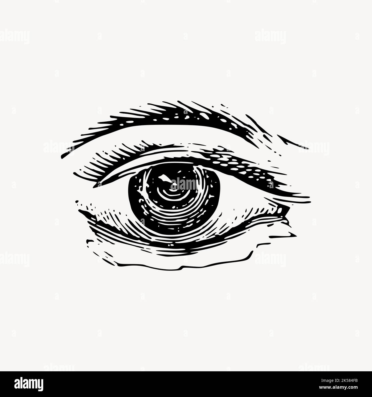 Vintage eye drawing clipart, body part illustration vector Stock Vector ...