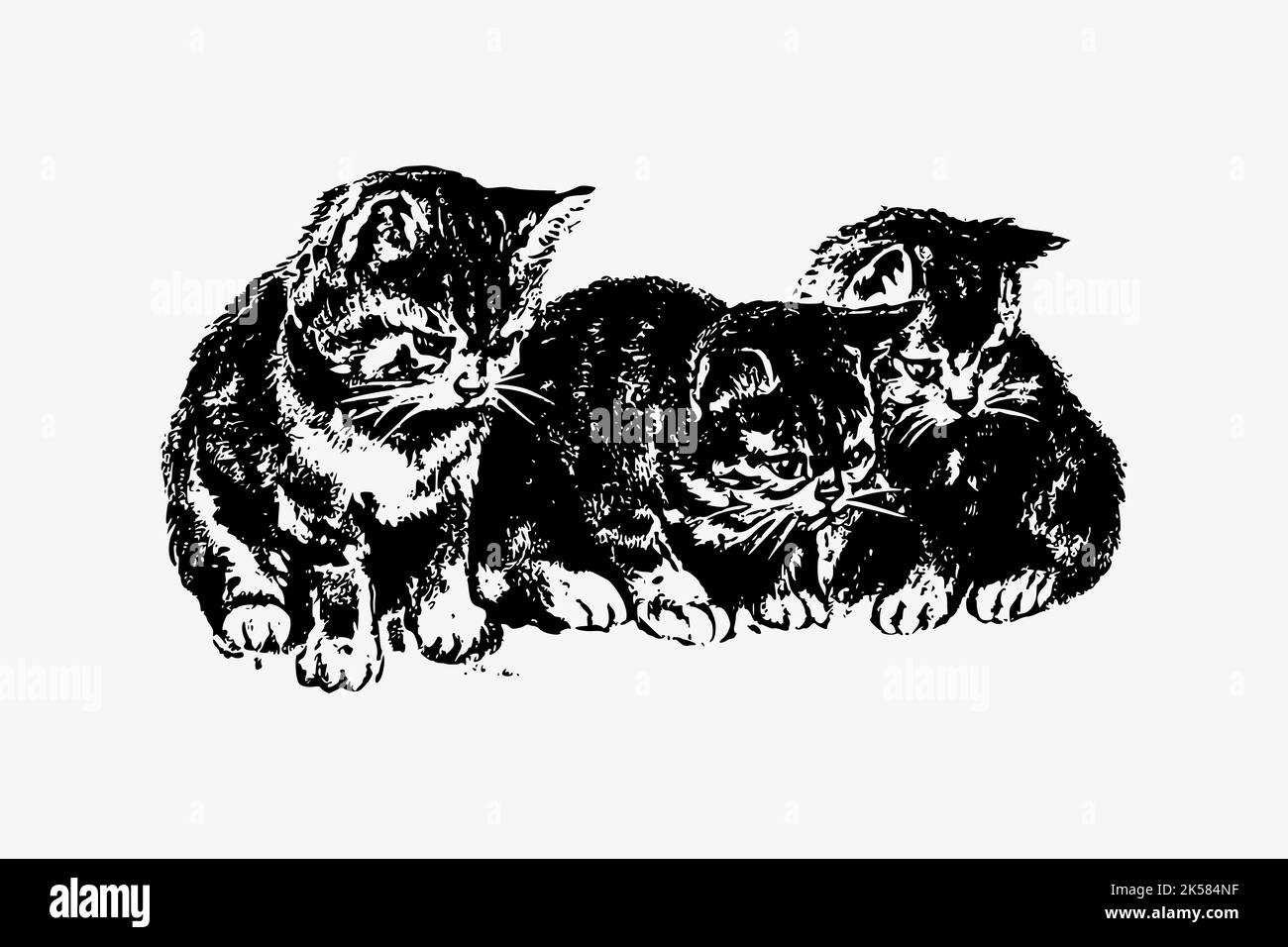 Vintage kittens drawing hi-res stock photography and images - Alamy