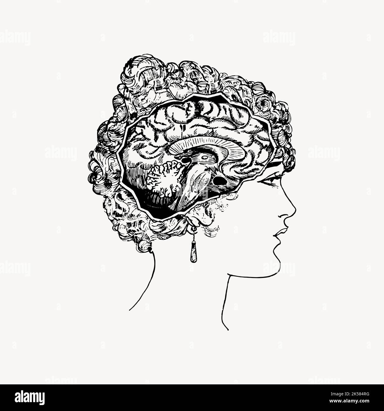 Woman's brain drawing, medical vintage hand drawn illustration vector ...