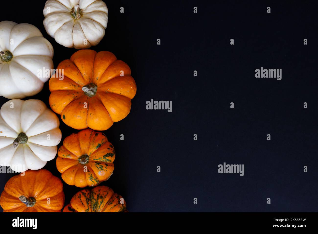 Halloween flat lay composition of black paper bats and pumpkins on ...